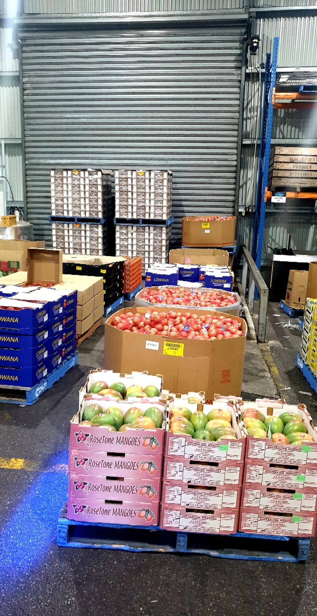 Cabinet & Bin Displays | Shop fittment & Layouts | Fruit & Veg | Nuts